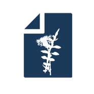 Ferrante Imperato: Step Into His Cabinet of Wonders! – Biodiversity ...