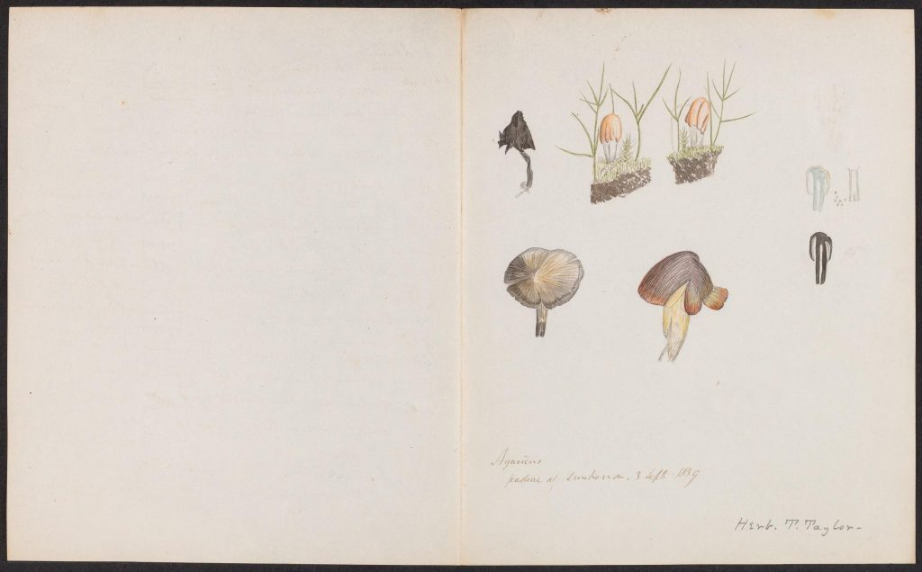 Field Note-Worthy: Thousands of Field Notes Now Available in BHL Thanks ...
