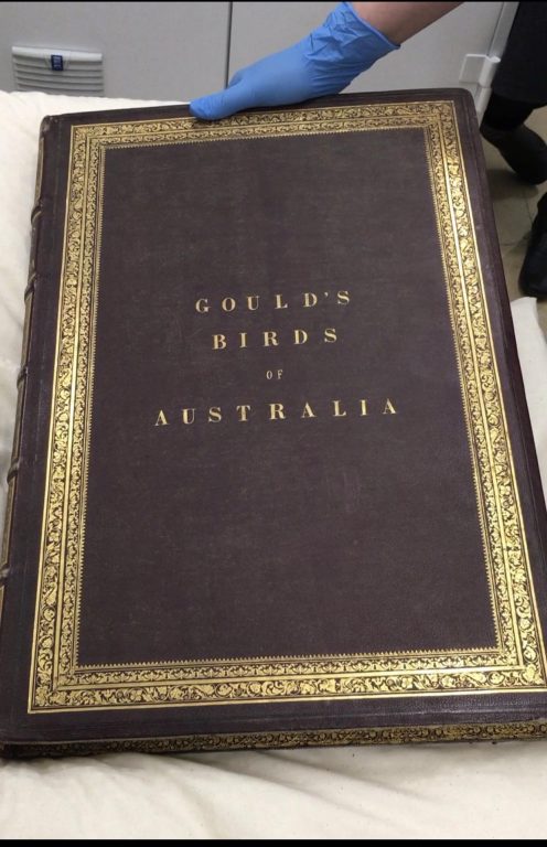 Origins of Australian Ornithology : The Evolution of Australia’s Bird ...