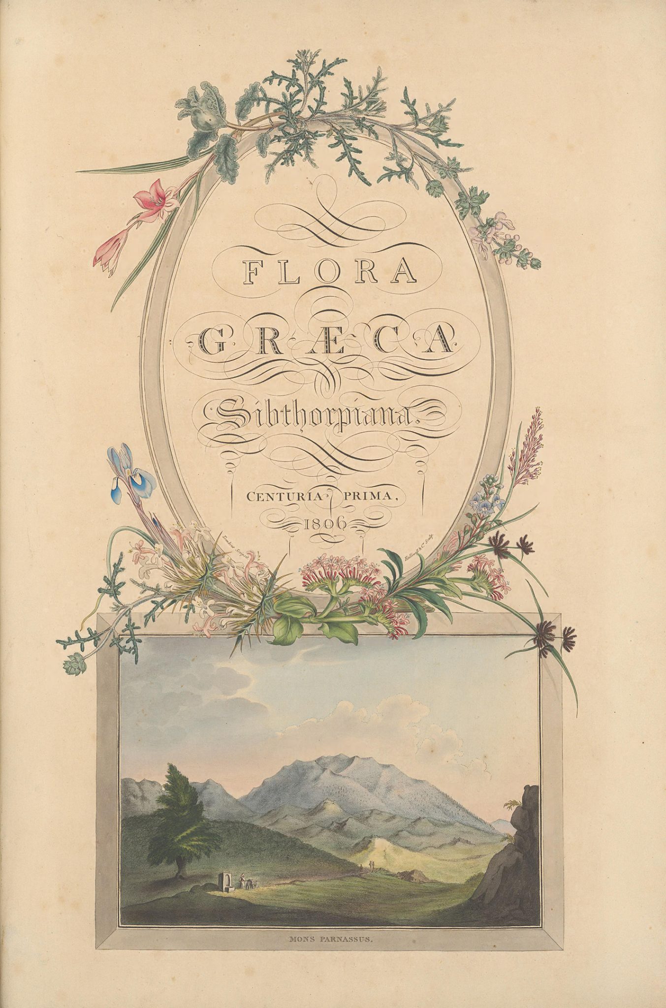 Flora Graeca: “The Most Costly and Beautiful Book Devoted to Any Flora ...