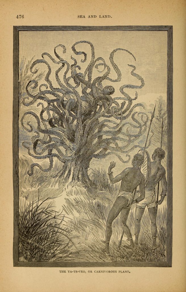 From Poetry to Pulp Fiction: Carnivorous Plants in Popular Culture ...